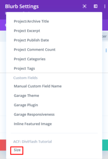 How to Use Advanced Custom Fields (ACF) in Divi Module?