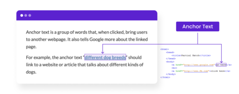 100+ Web Design Glossary of Terms You Should Know in 2025